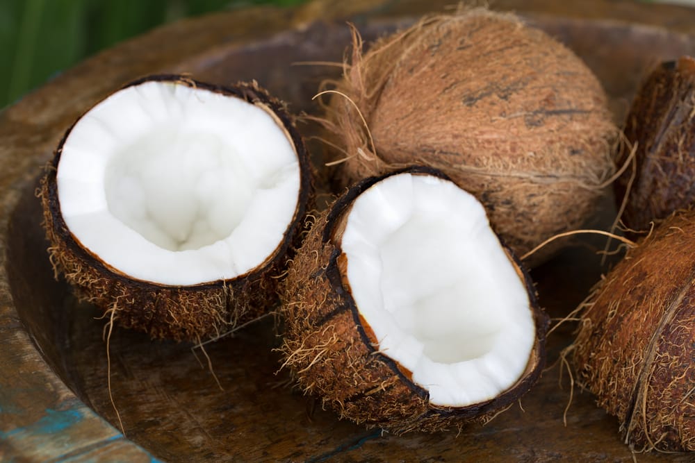 Cocco: Valore nutrizionale, proprietà, calorie - Blog – Frutt'it