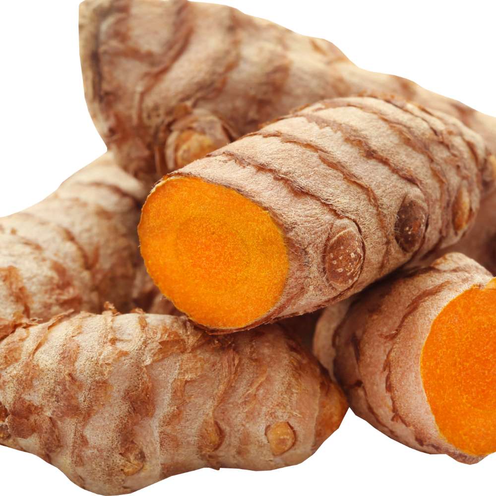 Curcuma fresca vs in polvere: differenze, proprietà e come usarla ...