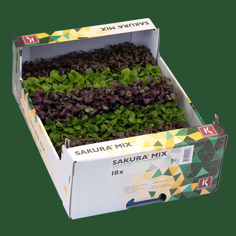 Acquista Sakura Mix online con Frutt'it - Microgreen online