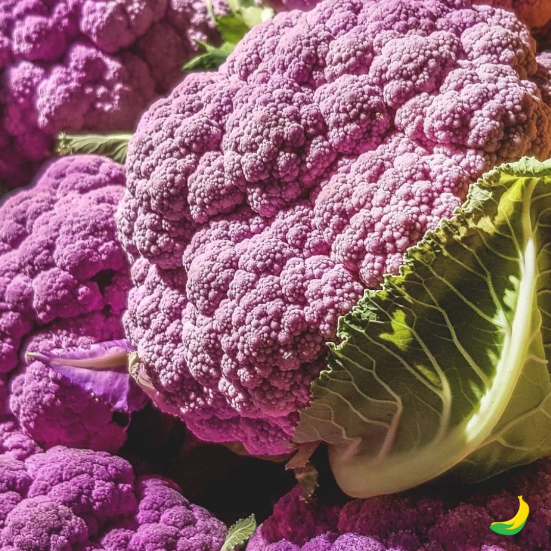 Acquista il broccolo viola online con Frutt'it - Verdure a domicilio