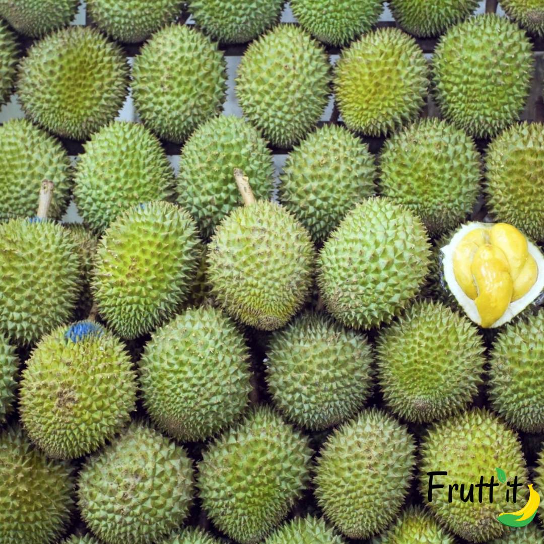 Acquista Durian Fruit online - Proprietà benefiche e come si mangia il ...