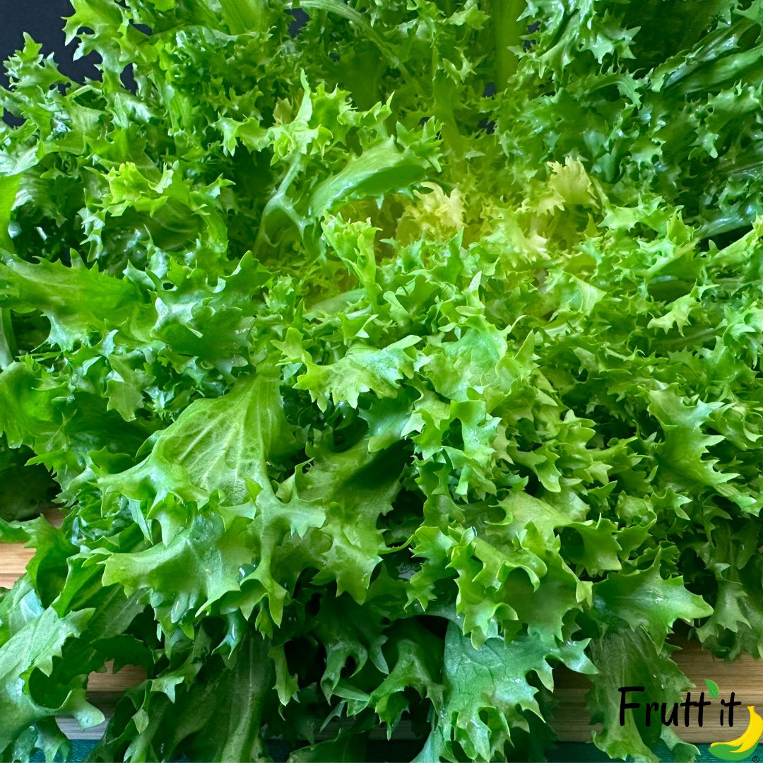 Acquista indivia online con Frutt'it - Verdure a domicilio